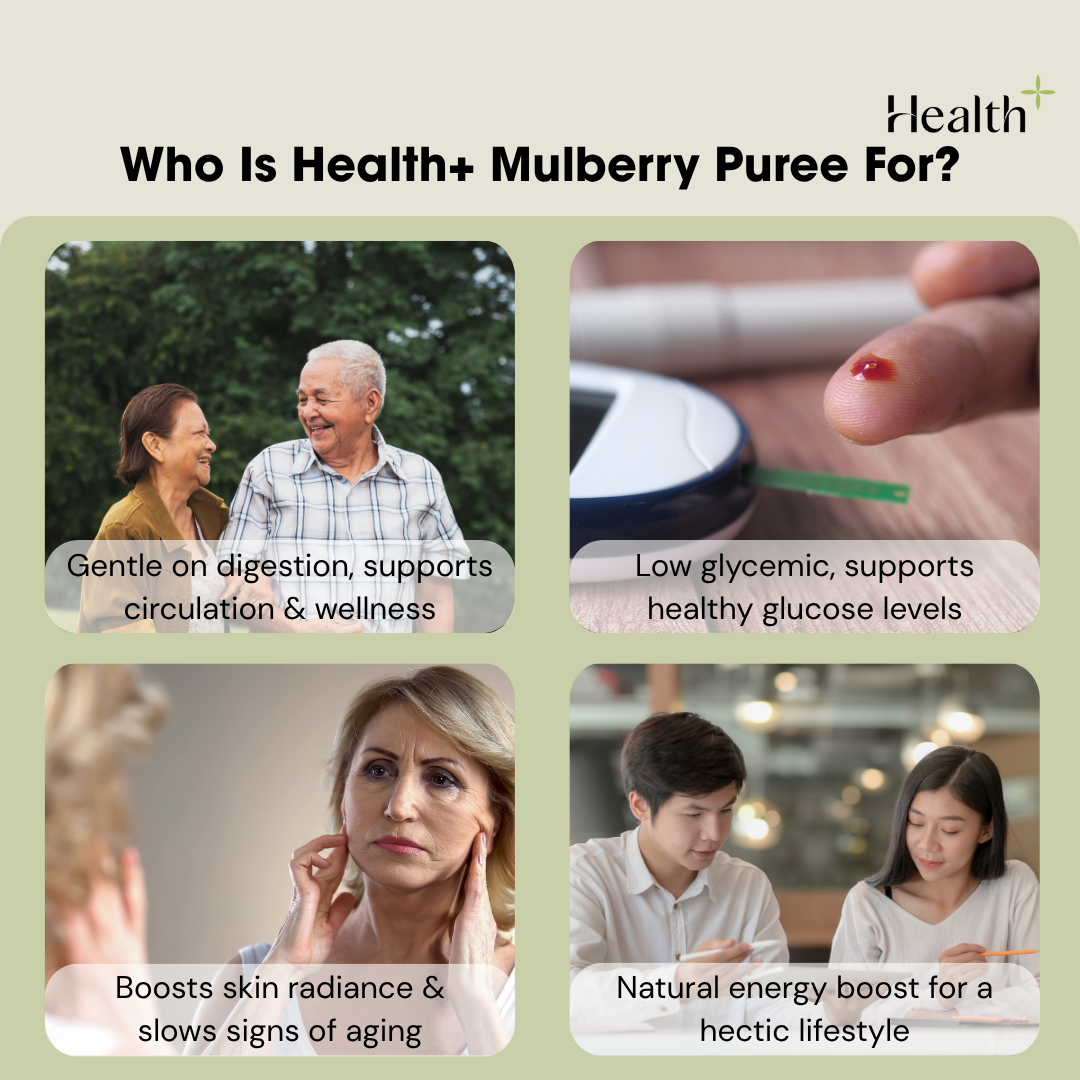 Health+ Mulberry Puree 30ml x 5's - JML Singapore - Everyday Easier